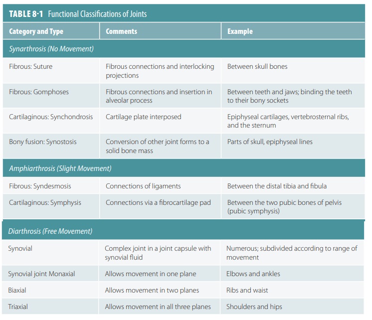 Functional Classifications Of Joints Articulations